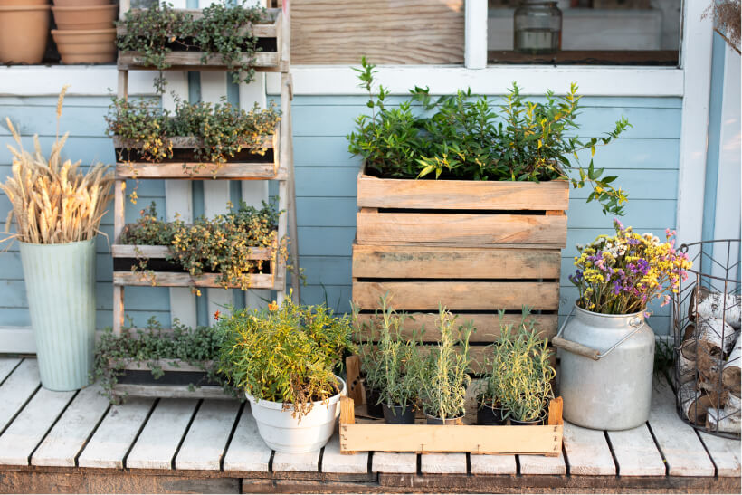 Comment créer un potager sur une terrasse ? – Pots de Fleurs & Co