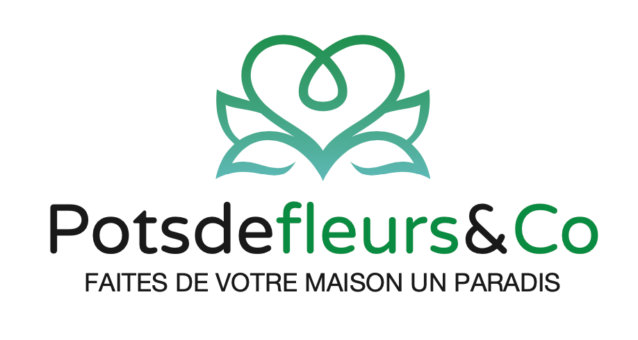 N°1 des Pots de Fleurs XXL et Design – Pots de Fleurs & Co
