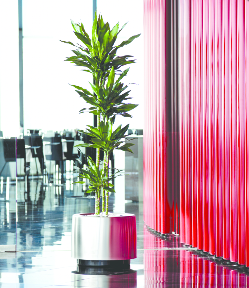 Pot en Fer pour Plante – Pots de Fleurs and Co